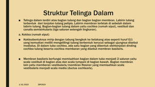 M1-TOPIK 1 PKUK1104.pptx