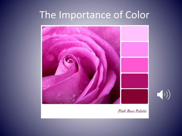 Importance of Color | PPT