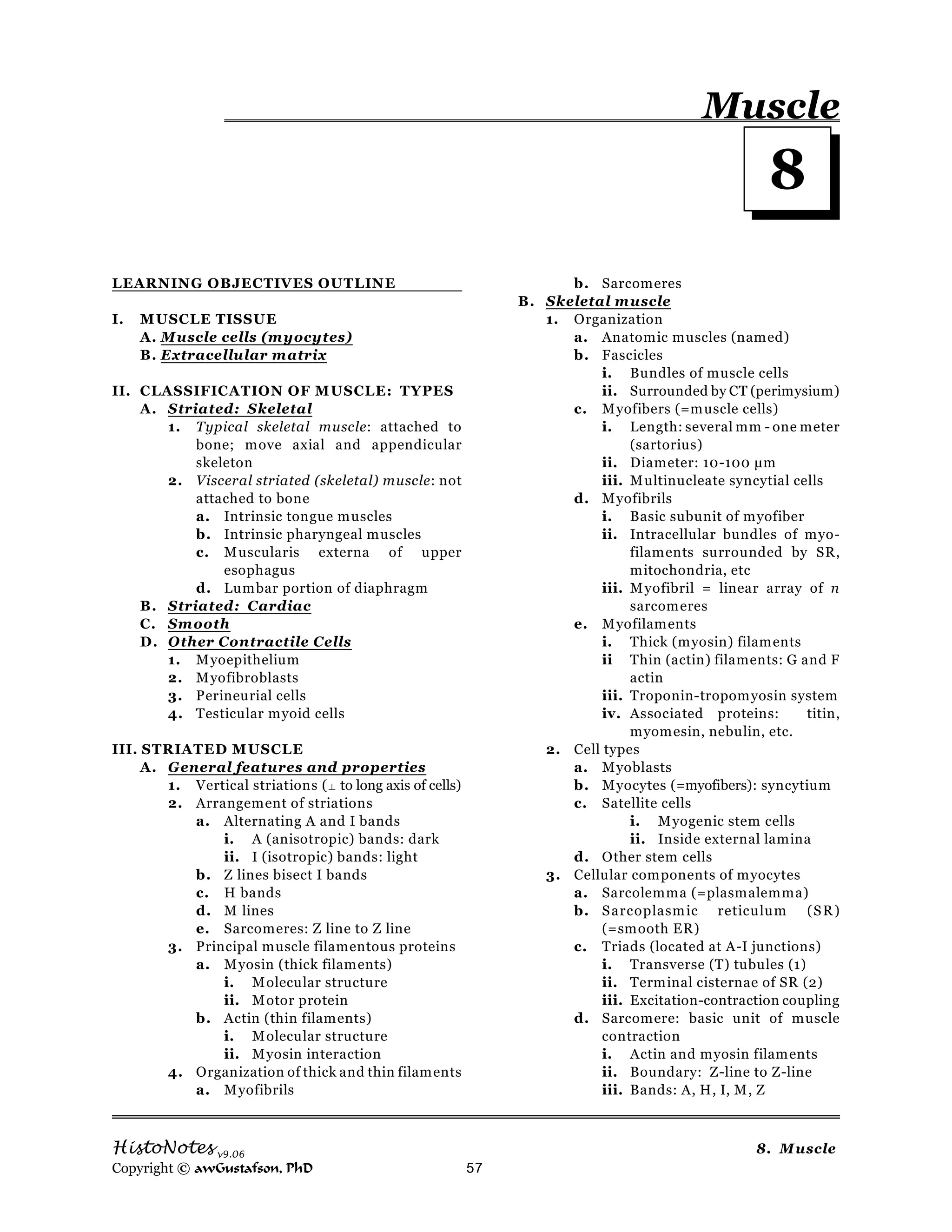 muscle characterized and short important points | PDF