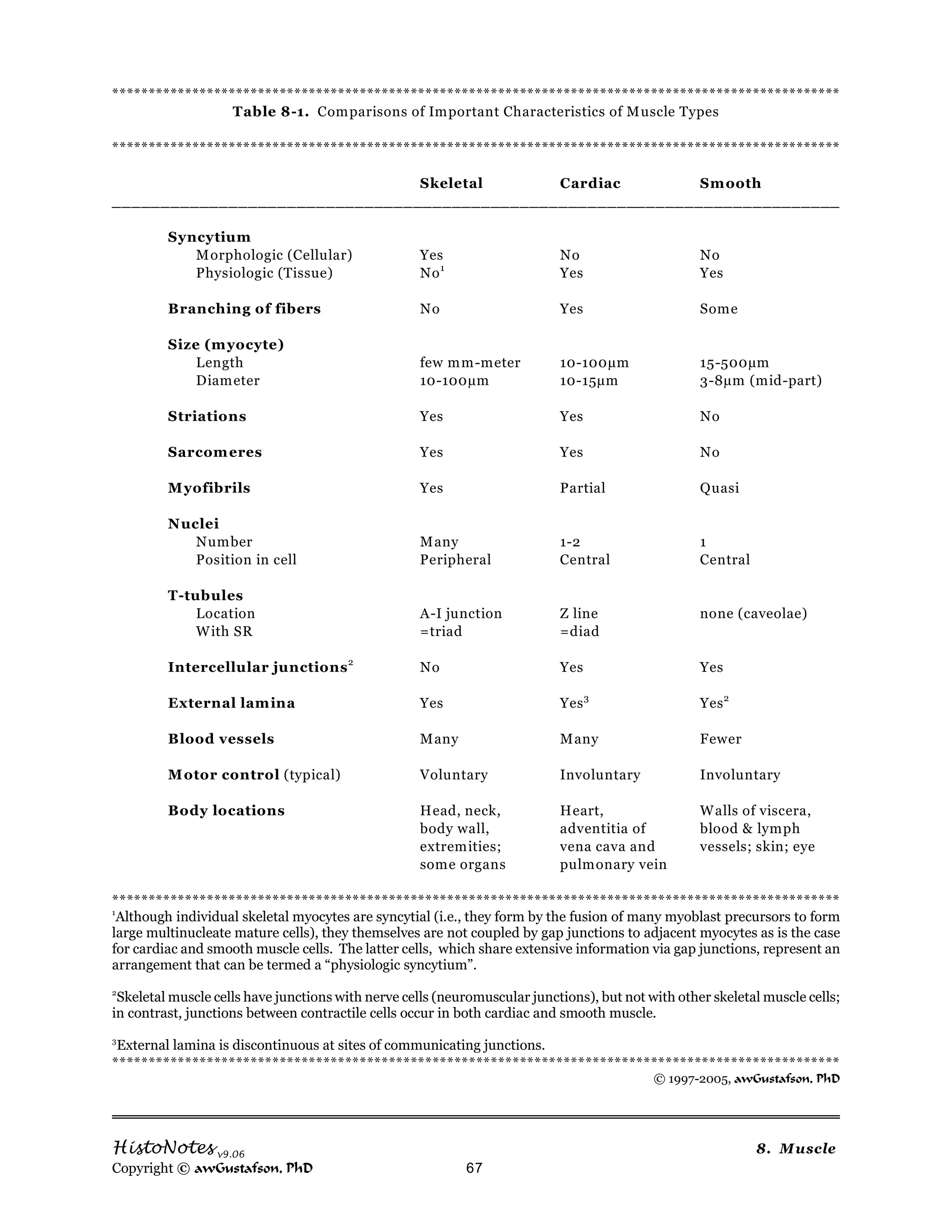 muscle characterized and short important points | PDF