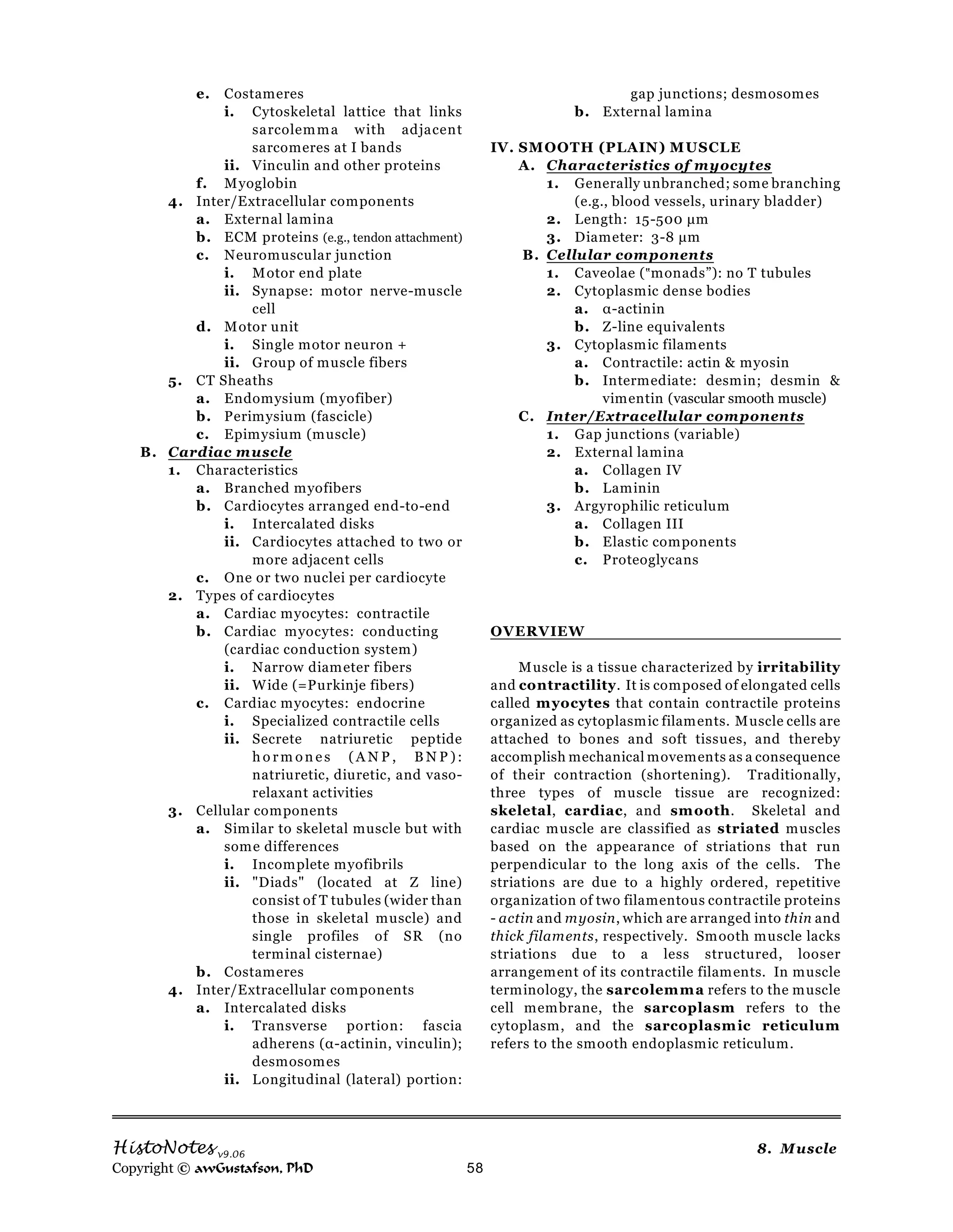 muscle characterized and short important points | PDF