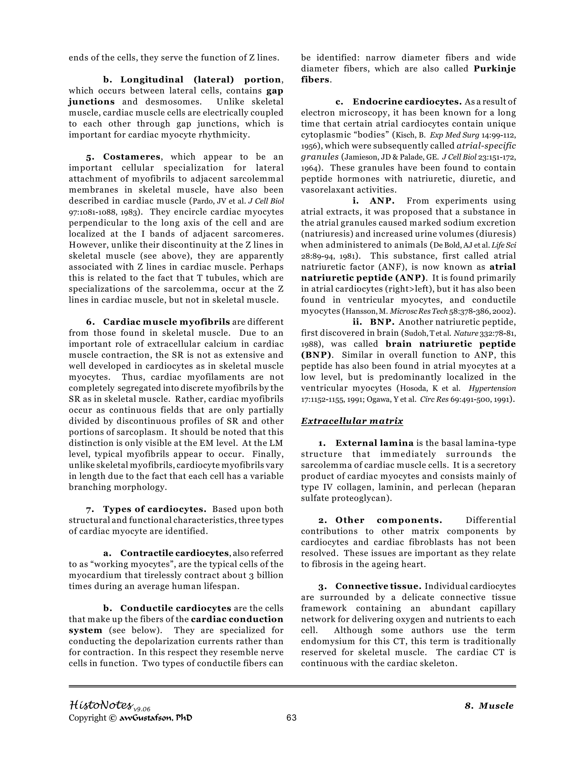 muscle characterized and short important points | PDF