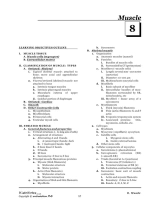 muscle characterized and short important points | PDF