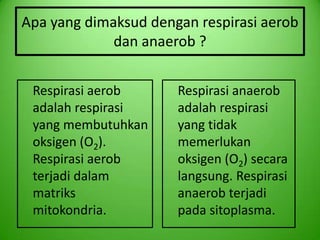 M10 kelompok 7 respirasi | PPTX
