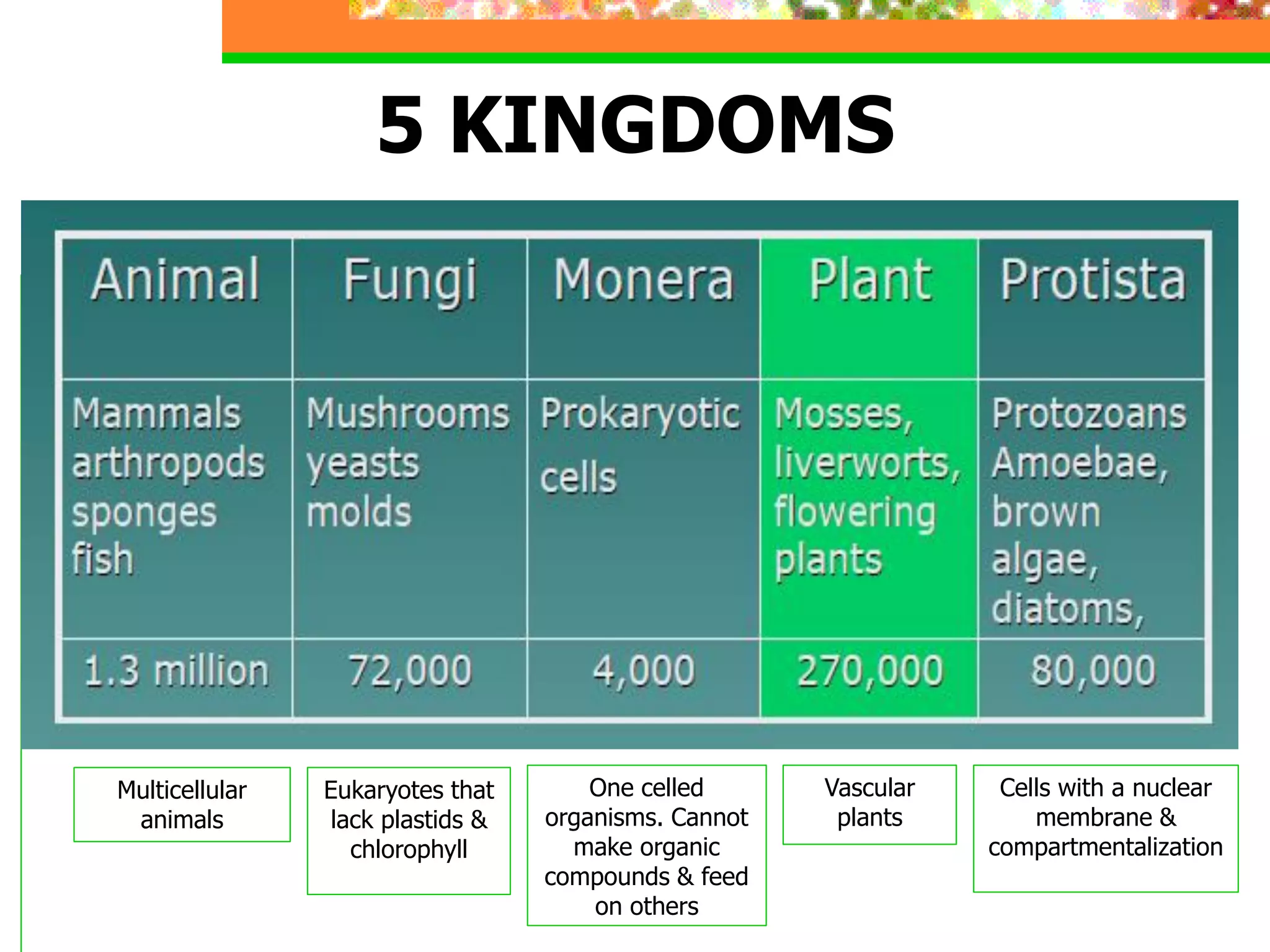 M1_1 - PLANT TAXONOMY ONLINE.pdf