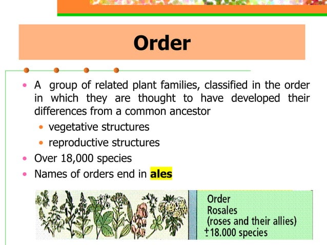 M1_1 - PLANT TAXONOMY ONLINE.pdf