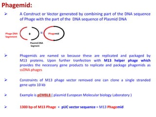 Lectures PPT of Prof. Sanjeev Puri, on M13 phage | PPTX