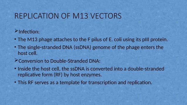 M13 VECTOR in Microbial Biotechnology.pptx | Biotech and Biomedical ...