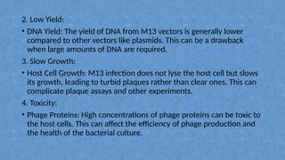 M13 VECTOR in Microbial Biotechnology.pptx