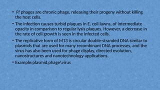 M13 VECTOR in Microbial Biotechnology.pptx