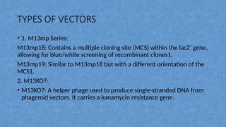 M13 VECTOR in Microbial Biotechnology.pptx