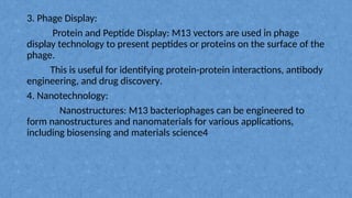 M13 VECTOR in Microbial Biotechnology.pptx