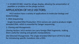 M13 VECTOR ..Microbial Biotechnology.pptx