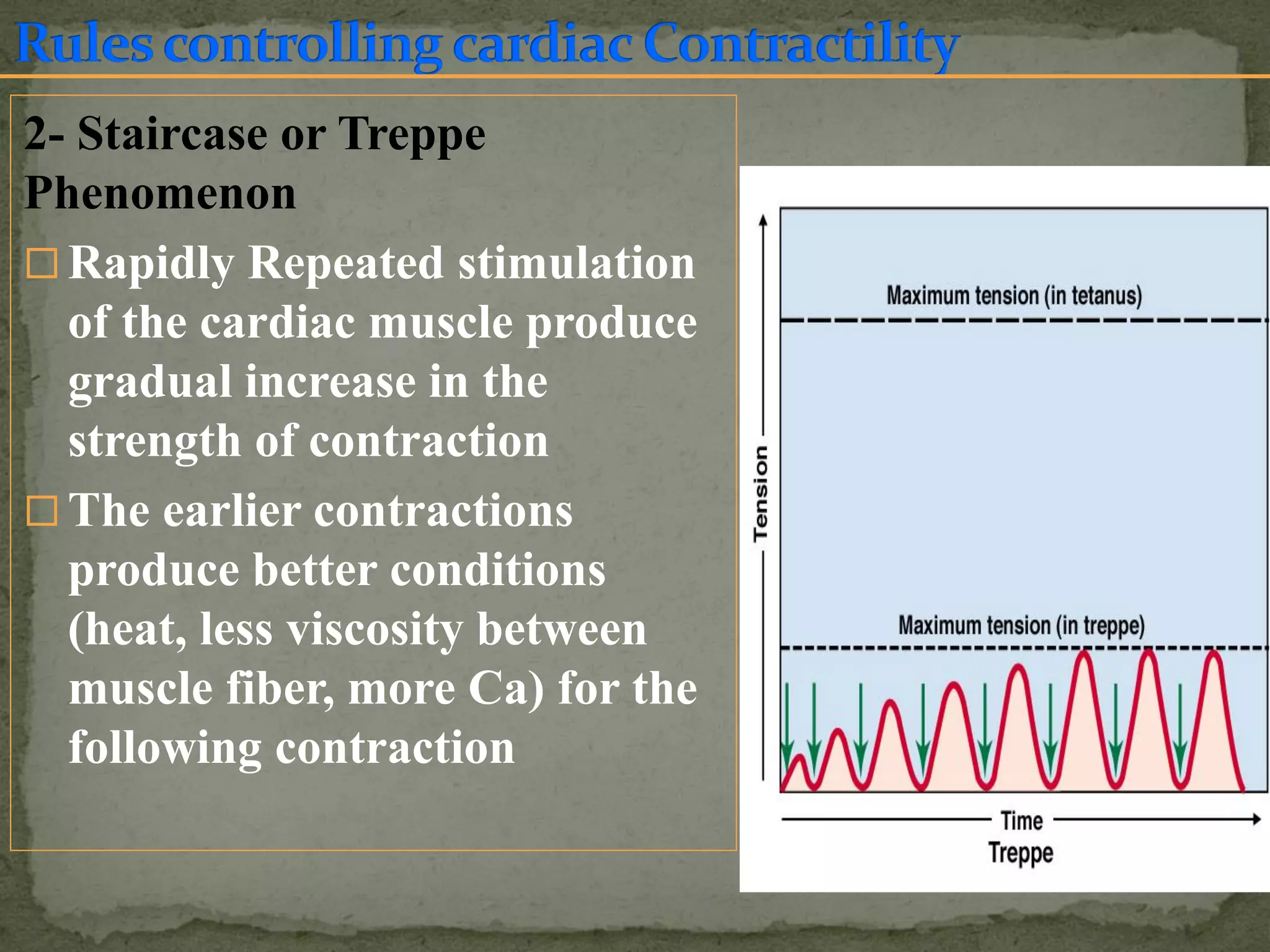 Structure of the Cardiac muscles | PDF