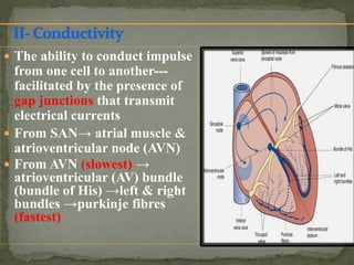 Structure of the Cardiac muscles | PDF