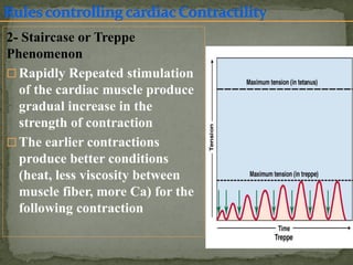 Structure of the Cardiac muscles | PDF