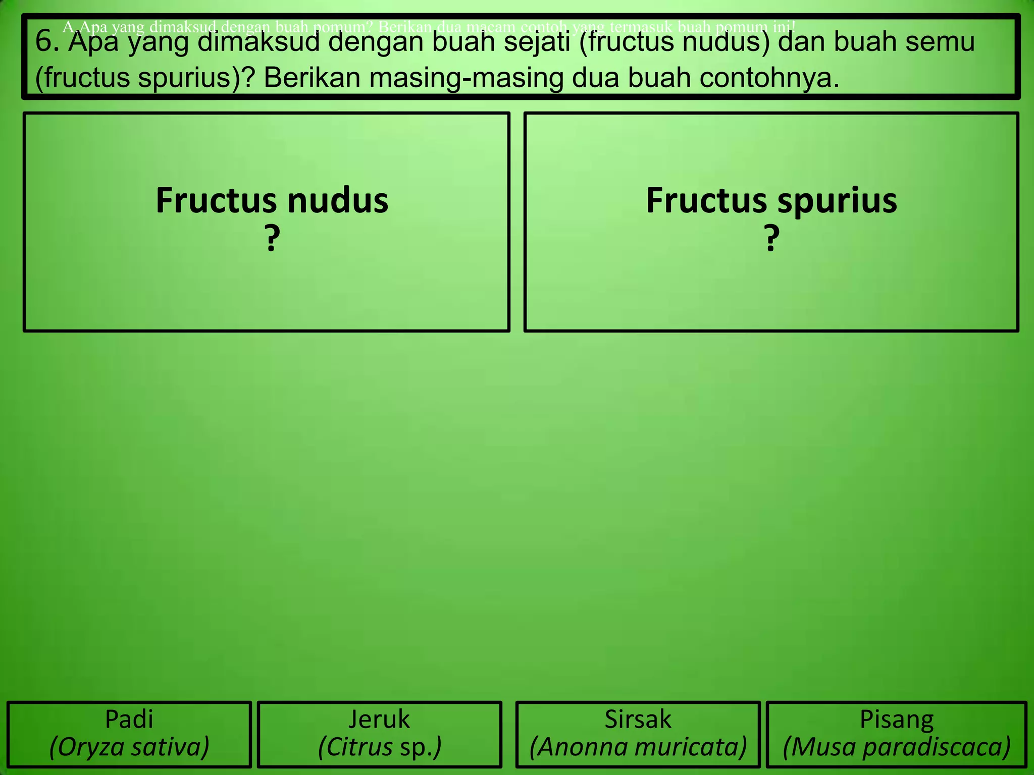 M15 kelompok 7 bunga dan buah | PPTX