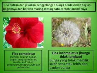 M15 kelompok 7 bunga dan buah | PPTX