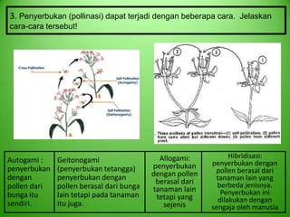 M15 kelompok 7 bunga dan buah | PPTX
