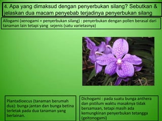 M15 kelompok 7 bunga dan buah | PPTX