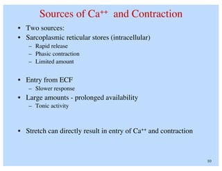 Anatomy And Physiology of Human muscle tissue | PPT