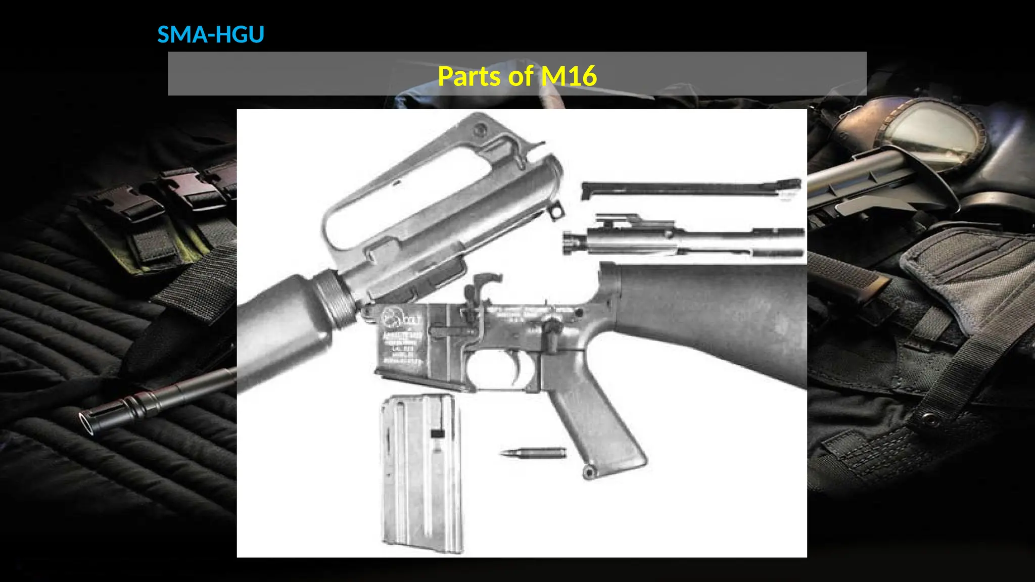 M16A1 and series that includes other versions of the rifle.pptx | Arms ...