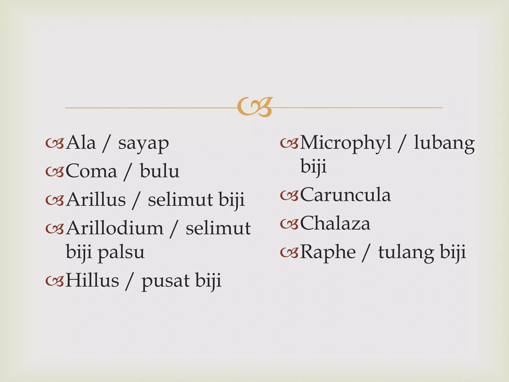 M16 biji dan plantula | PPTX