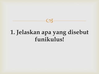 M16 biji dan plantula | PPTX
