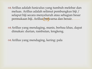 M16 biji dan plantula | PPTX