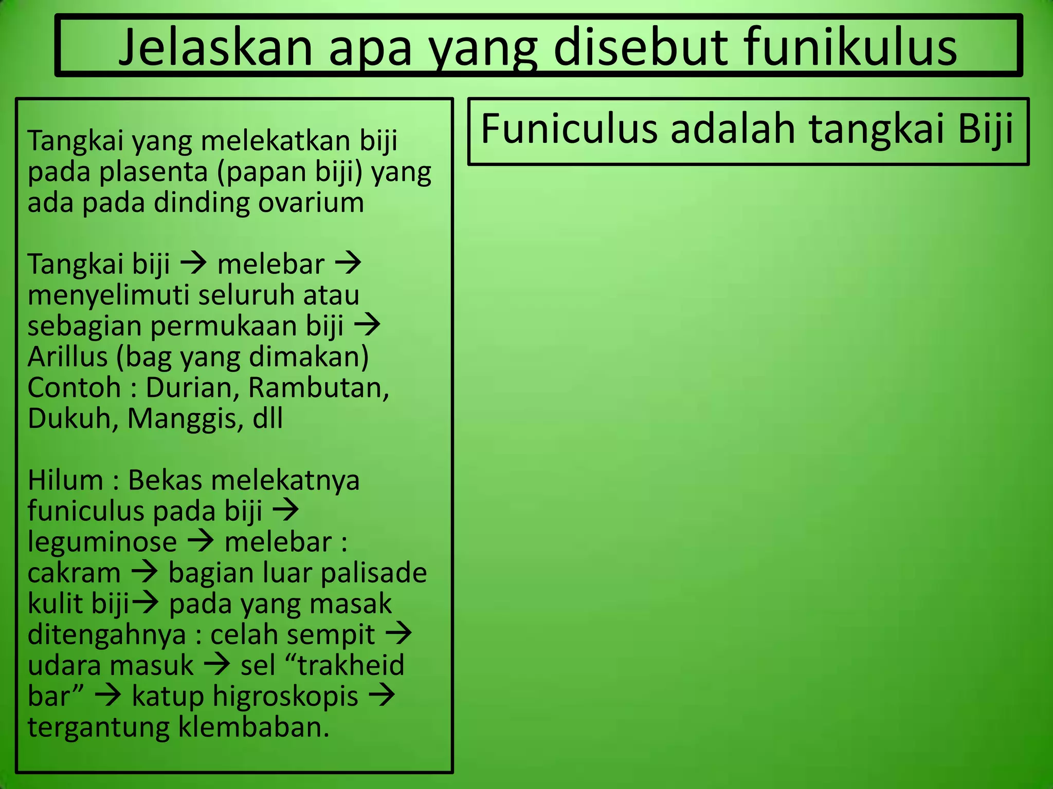 M16 kelompok 7 biji dan plantula | PPTX