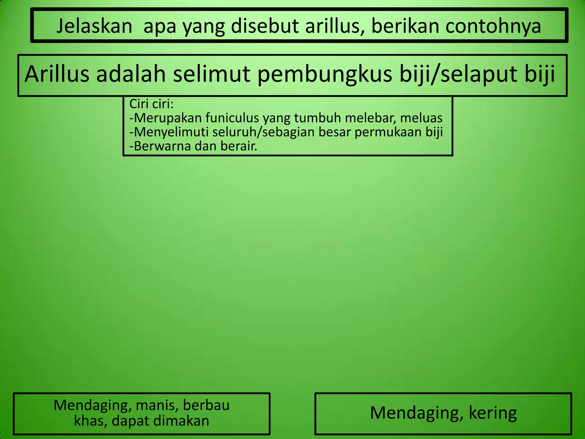 M16 kelompok 7 biji dan plantula | PPTX