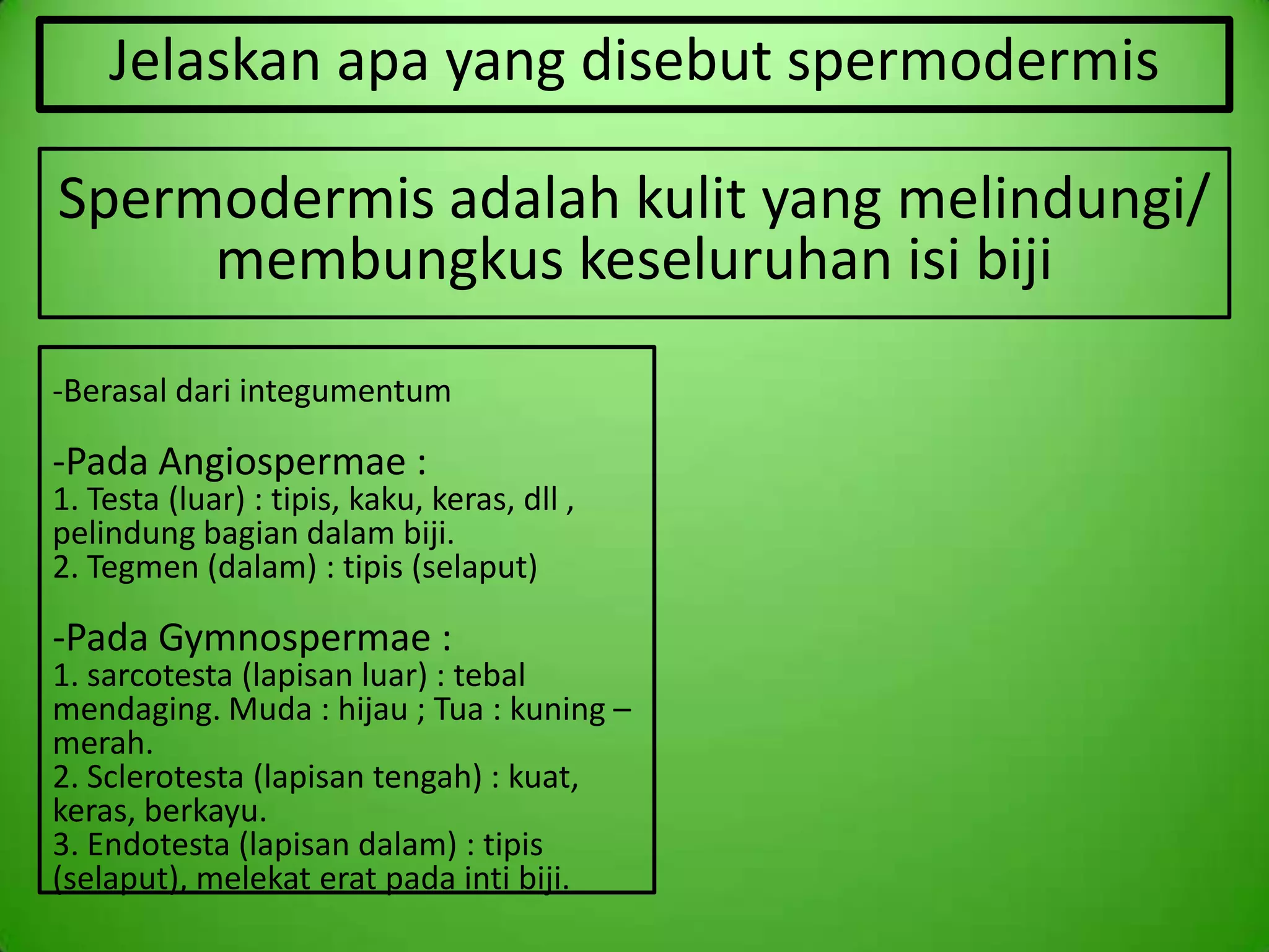 M16 kelompok 7 biji dan plantula | PPTX