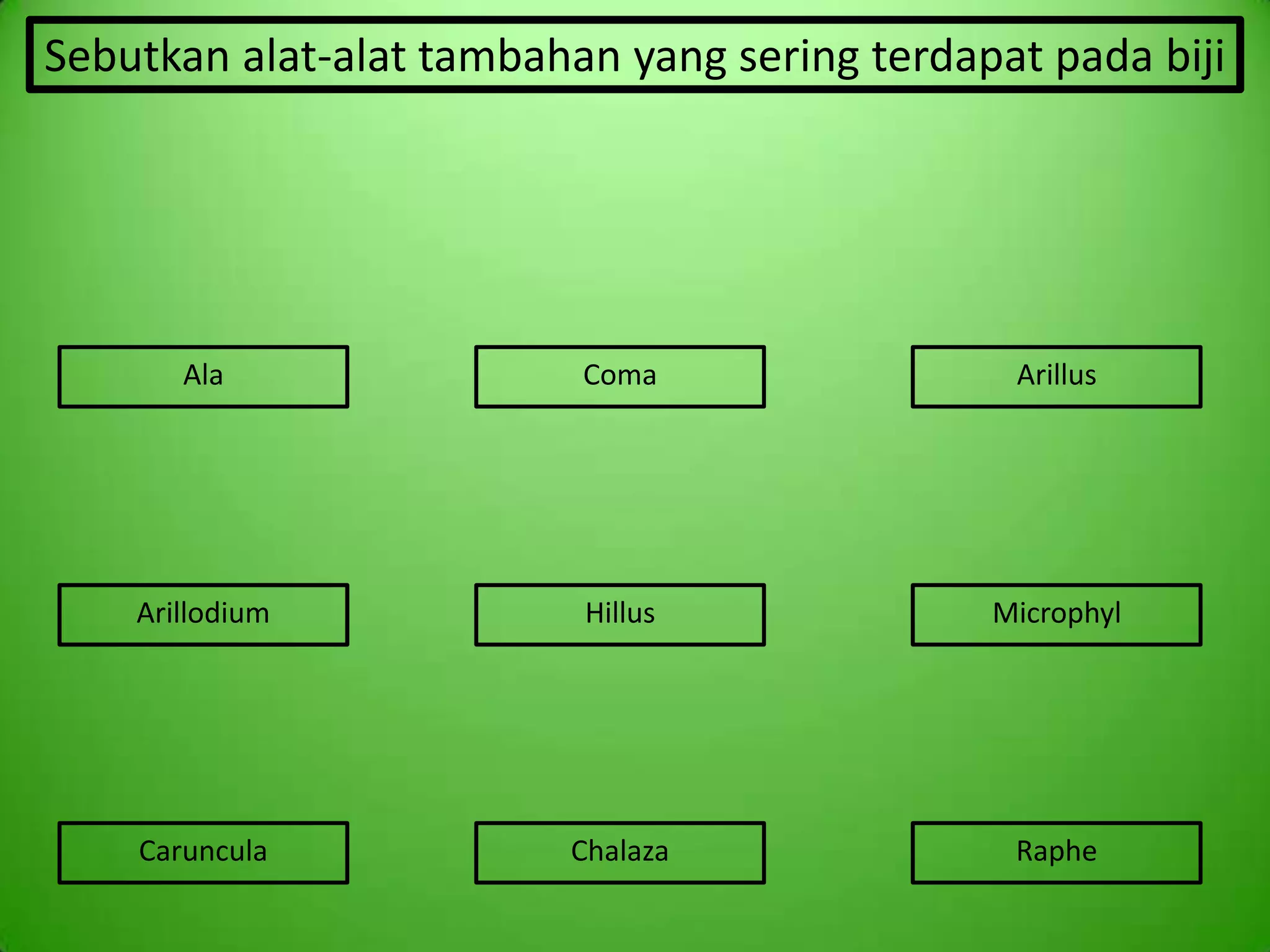 M16 kelompok 7 biji dan plantula | PPTX