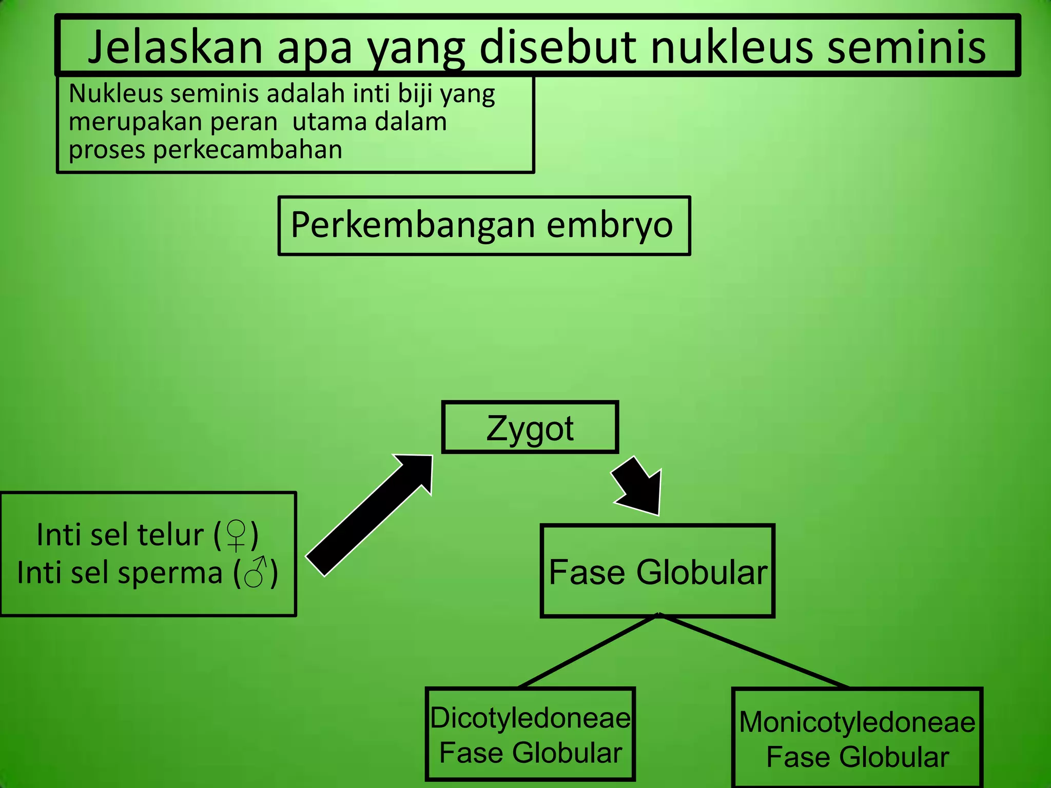 M16 kelompok 7 biji dan plantula | PPTX