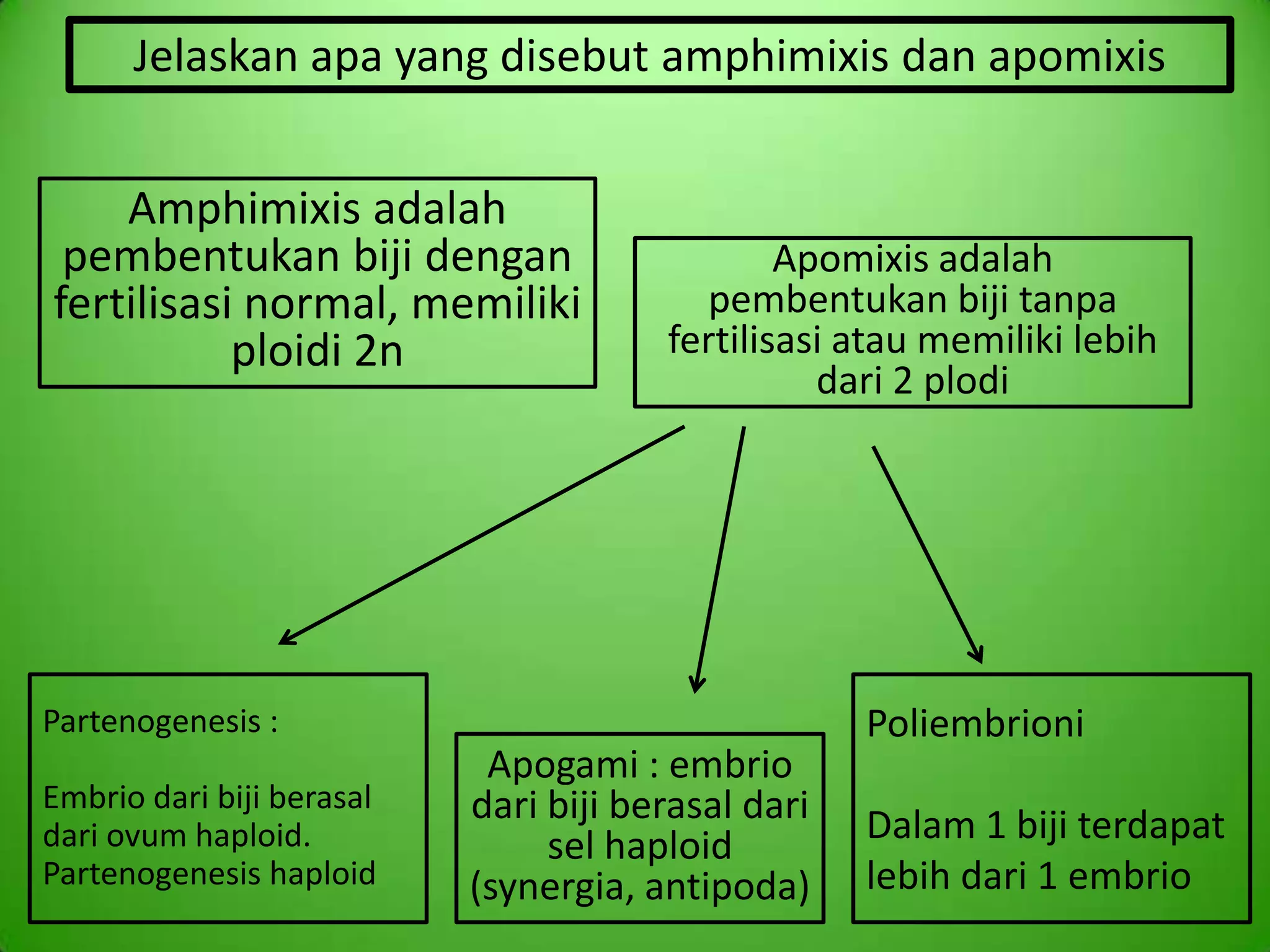 M16 kelompok 7 biji dan plantula | PPTX