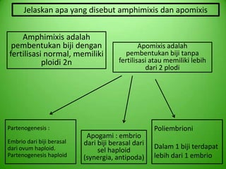 M16 kelompok 7 biji dan plantula | PPTX