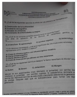 M17 evolucion dgo | PDF