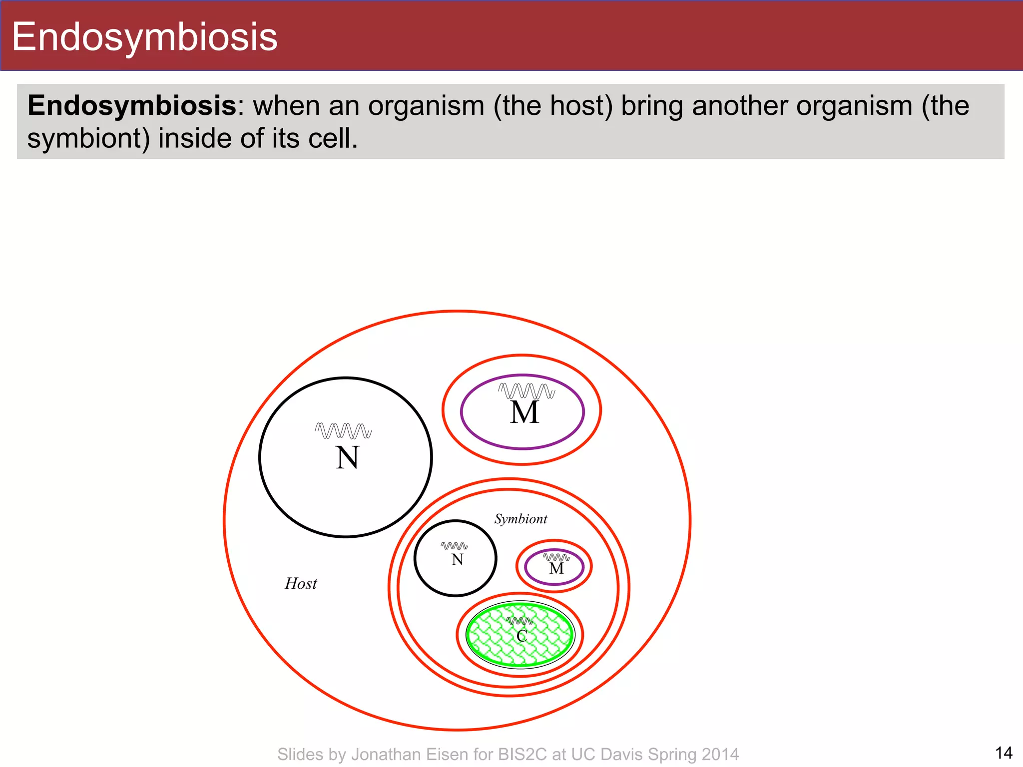 BIS2C. Biodiversity and the Tree of Life. 2014. L10. Studying Microbes ...