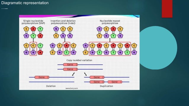 Introduction to polymorphism and its types | PPTX