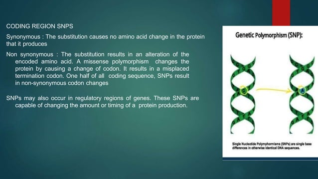 Introduction to polymorphism and its types | PPTX