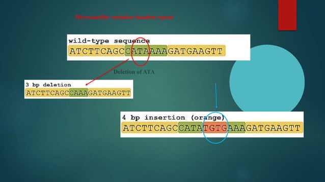Introduction to polymorphism and its types | PPTX