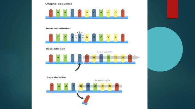 Introduction to polymorphism and its types | PPTX