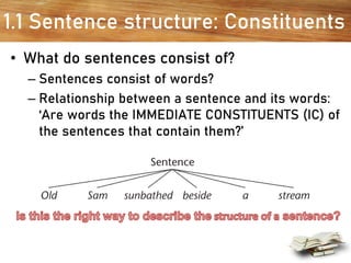 M1 lesson 1.1 slides | PDF