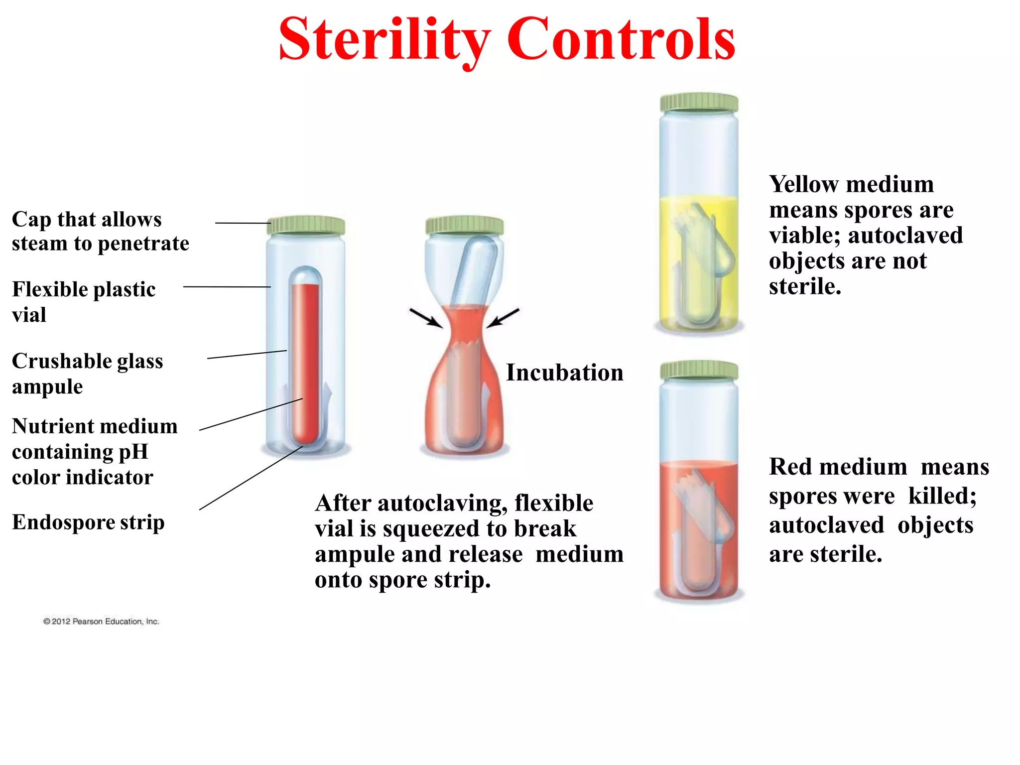 M 1 sterlization | PDF
