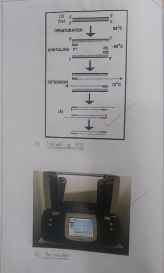 M2-Advanced Analytical Technique | PDF