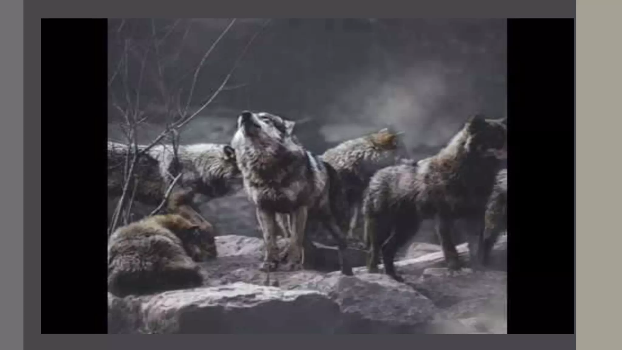 M2-PERDEV - DEVELOPING THE WHOLE PERSON [Autosaved].pptx