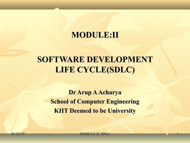 Software Development Life Cycle | PPT | Operating Systems | Computer Software and Applications