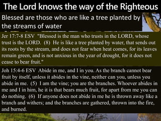 M2014 s93 the lord knows the way of the righteous 12 7-14 sermons | PPT
