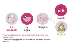 Microvita 2050 - The project | PDF