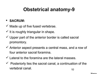 M2 2009 obstetrical anatomy (2) | PPT